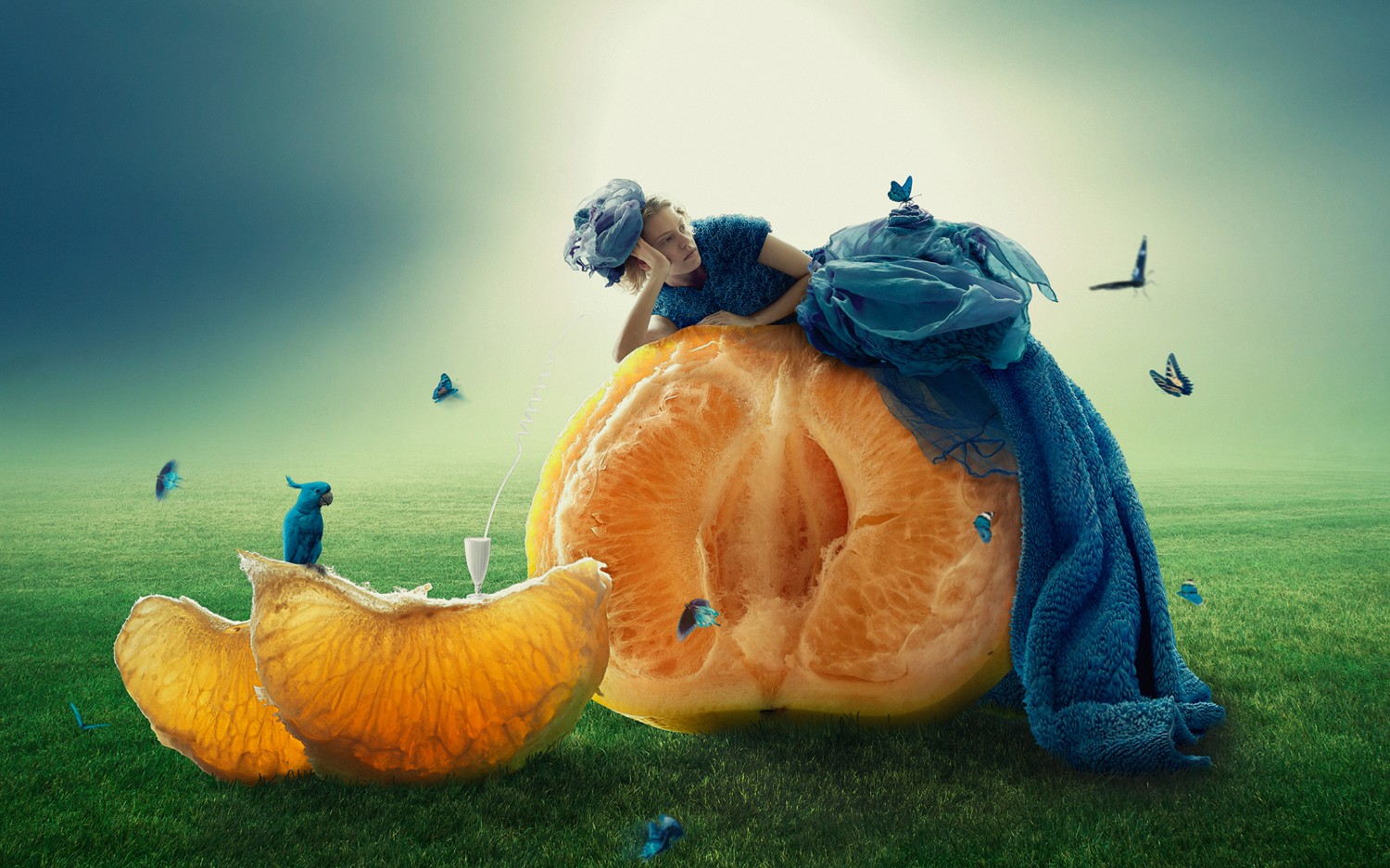 Light Media - Web Design & Development, 3D Rendering